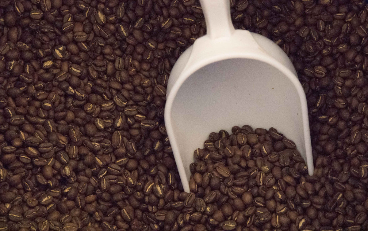 The freshness of coffee – Hola Coffee Roasters