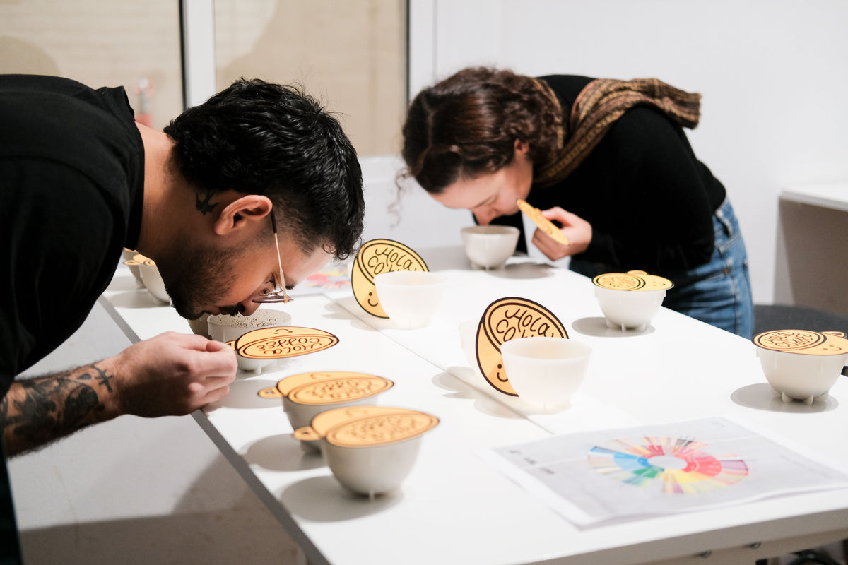 Professional Barista Course - Initiation – Hola Coffee Roasters